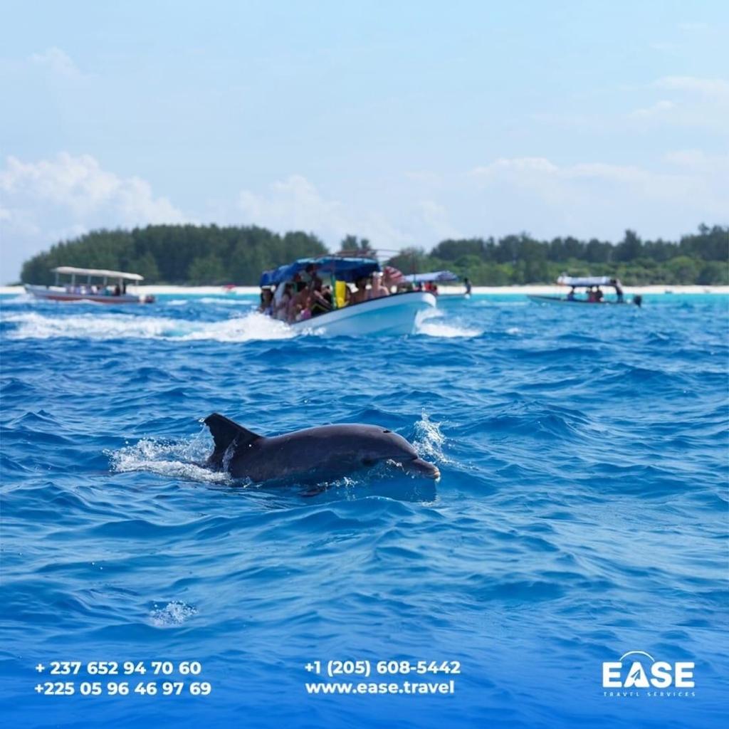 Zanzibar : 10 activités incontournables pour un séjour de rêve