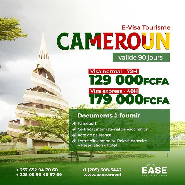 Tout savoir sur le e-visa Cameroun : Procédure, Délais, Difficultés et ...
